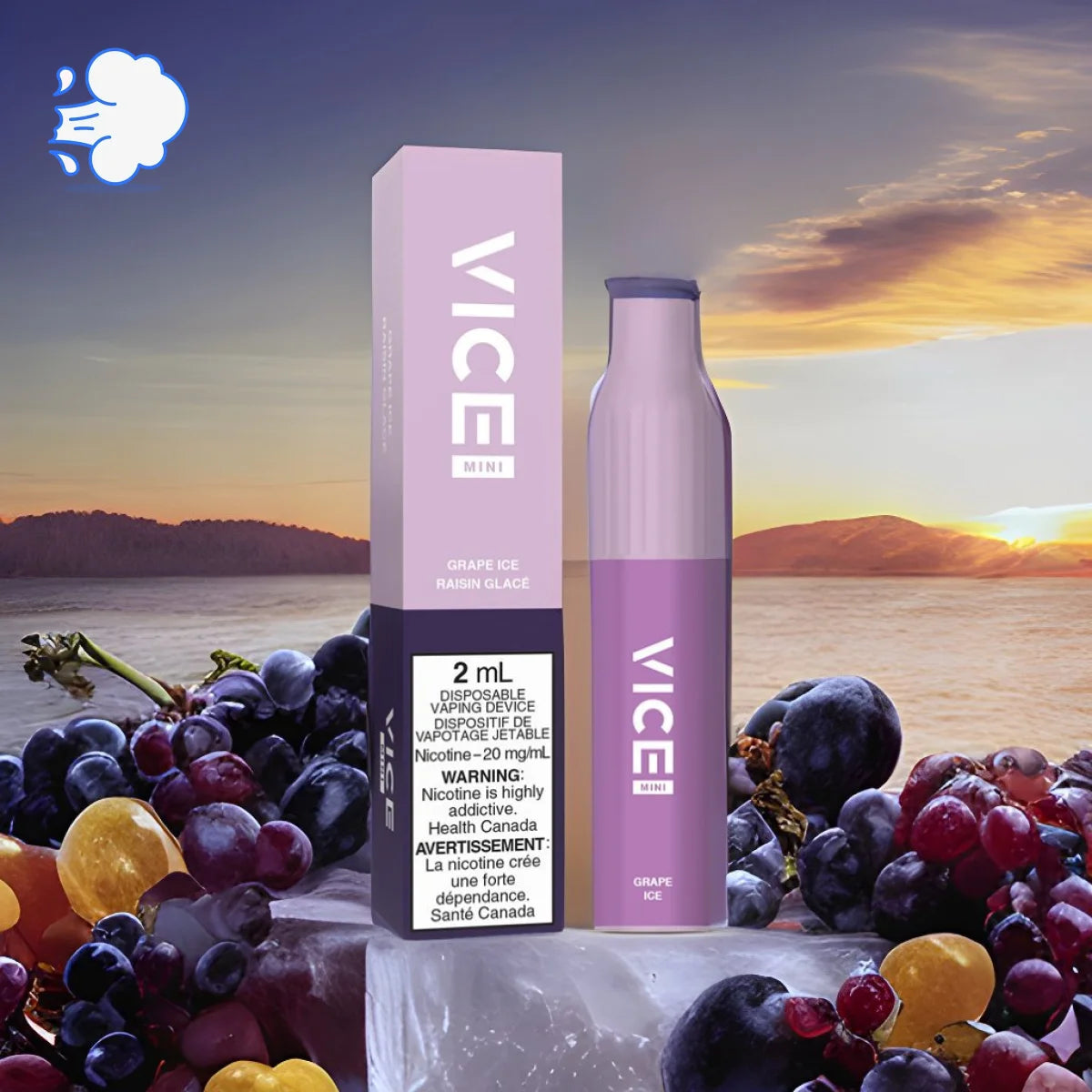 VICE Grape Ice Mini | Disposable | Same-day delivery in BC – Vape Spot
